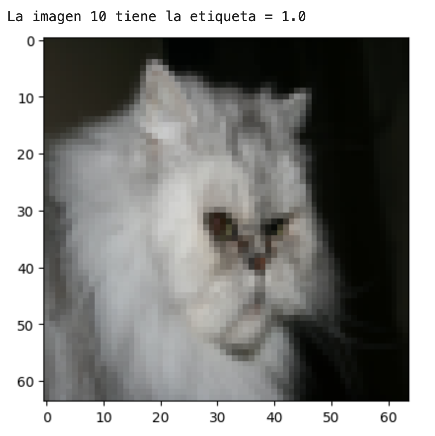 » Construir una Red neuronal en Python desde cero